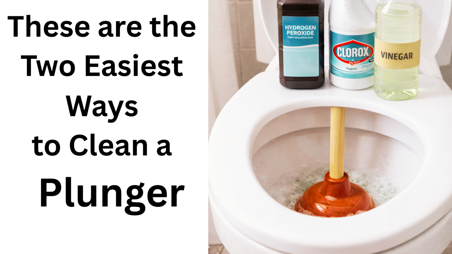 How to Clean a Plunger (Hygienically) – Notes From The Porch