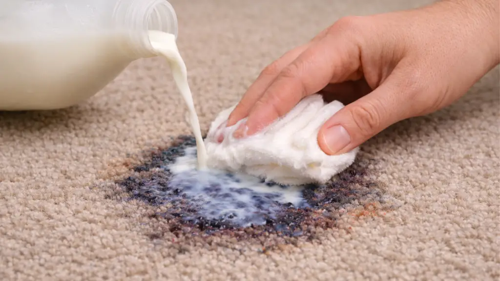11 Bizarre Carpet Stain Tricks That Actually Work – Notes From The Porch